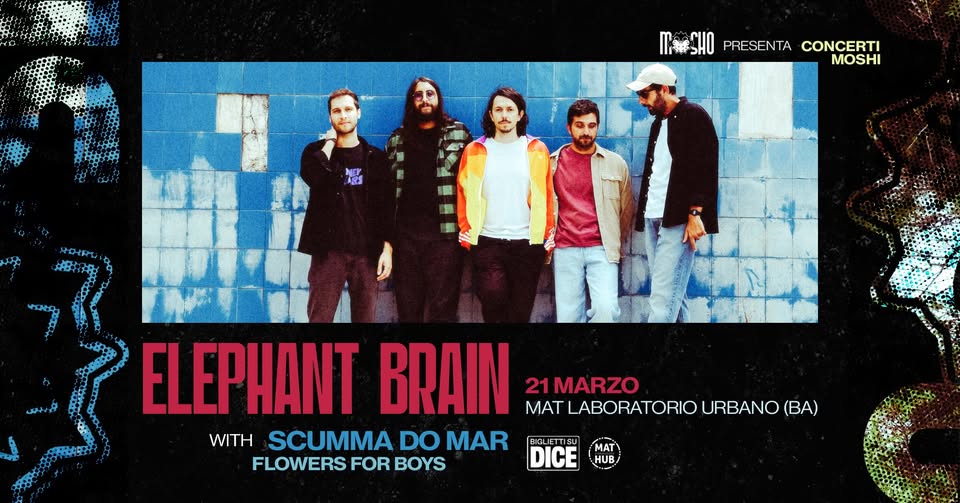 Elephant Brain Live Scumma Do Mar Flowers For Boys - 21 marzo 2026 ...