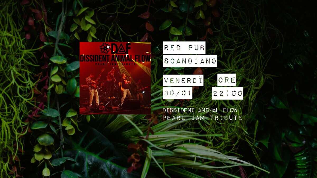Red Pub – Dissident Animal Flow – Pearl Jam Tribute – Venerdì 30 ...