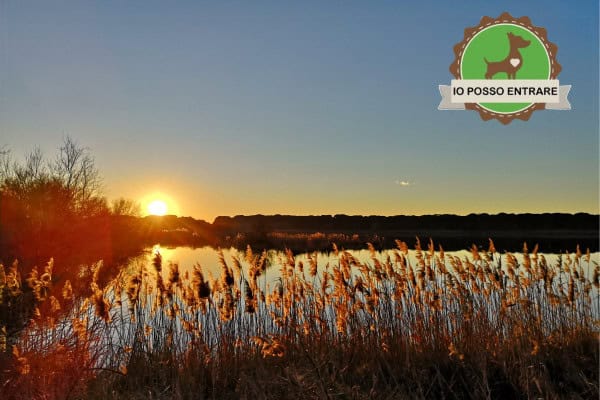 Tramonto nelle Valli, tra fenicotteri e specchi d’acqua dal 3 al 31 ...